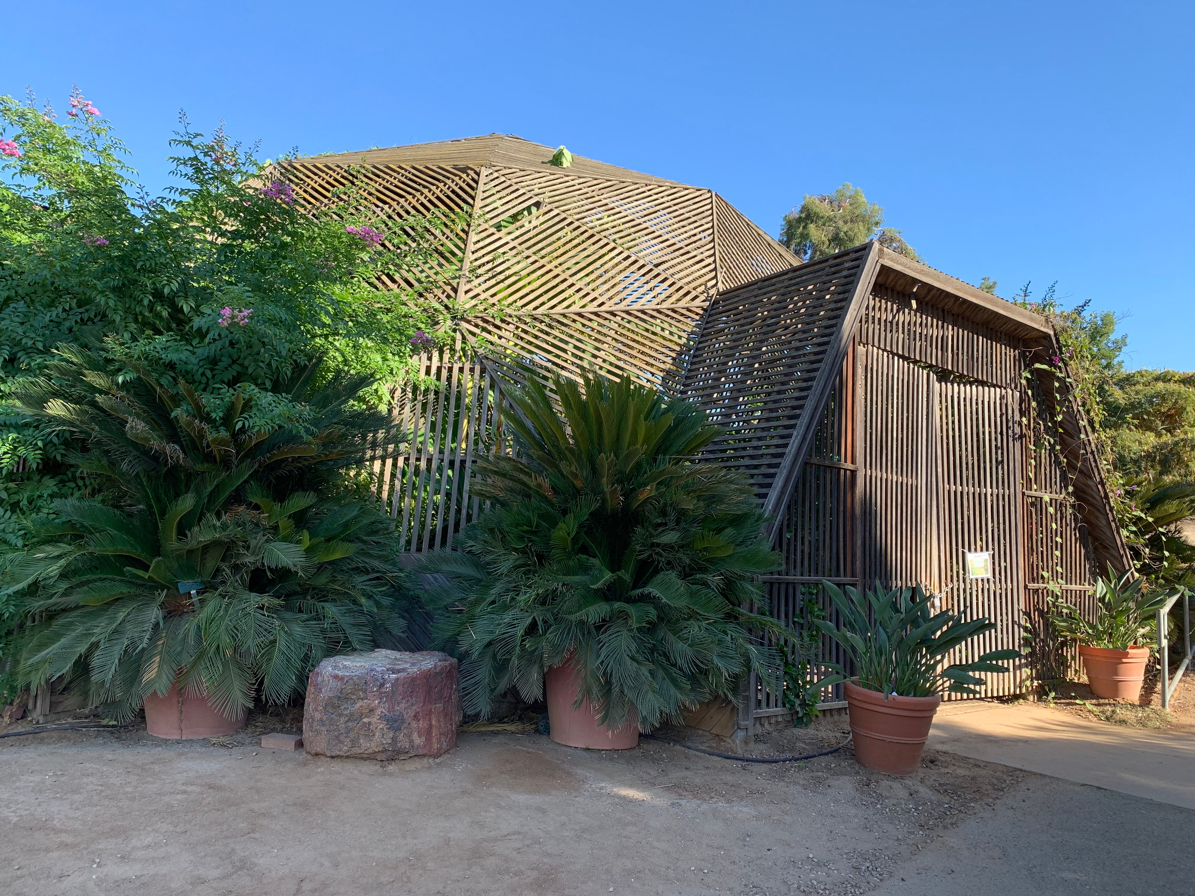 Save the Geodesic Dome in UCR's Botanic Gardens | UCR Botanic Gardens